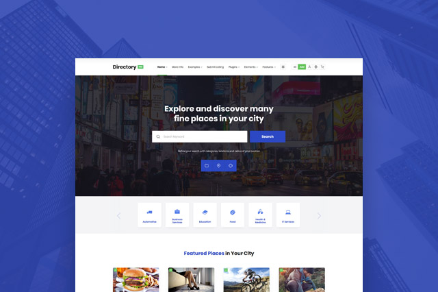DirectoryPRO: WordPress Directory Theme (updated in 2020)